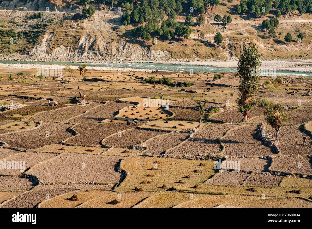 2010s farming in nepal hi-res stock photography and images - Alamy
