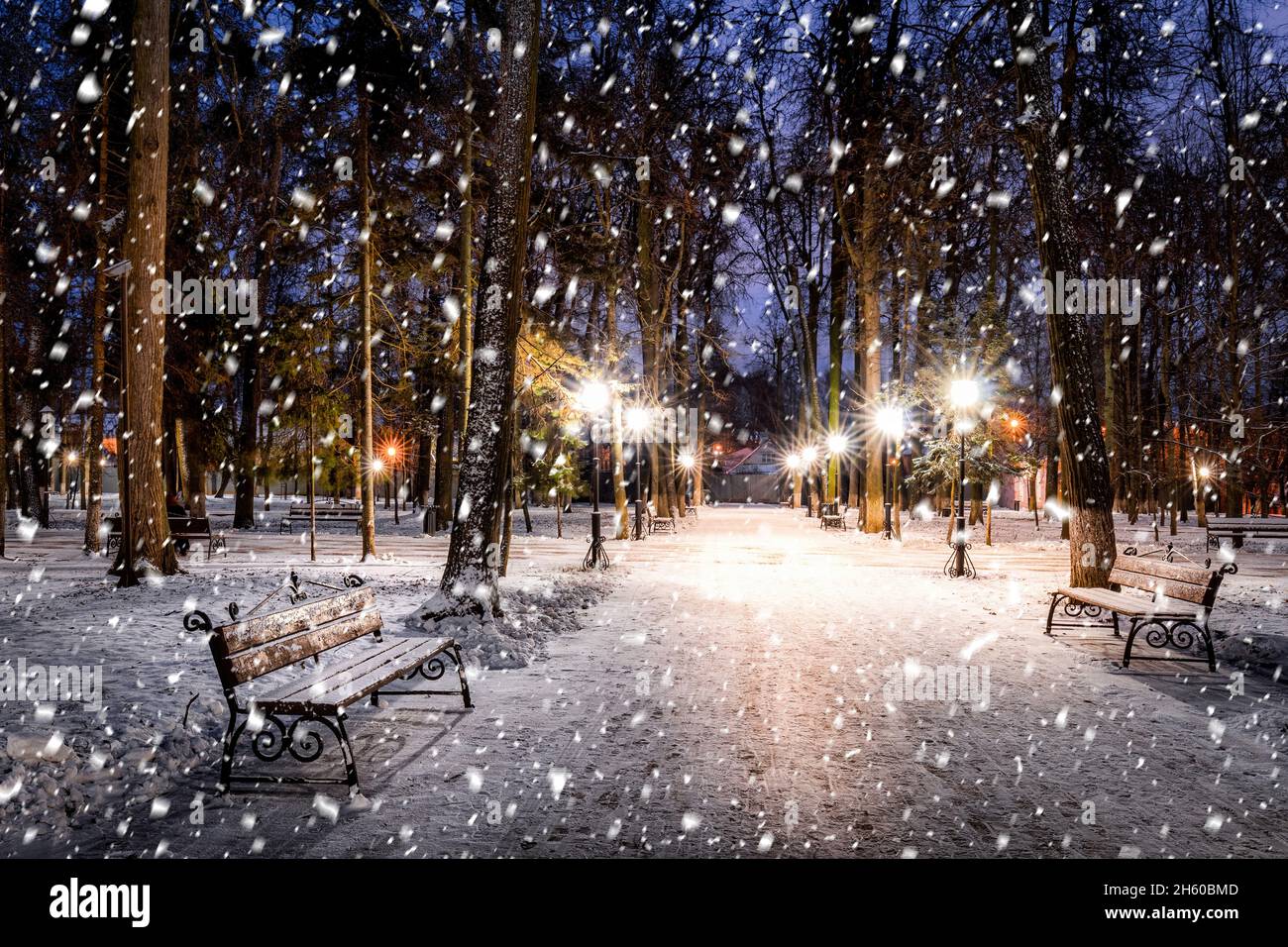 Snowfall in a winter park at night with christmas decorations, lights ...