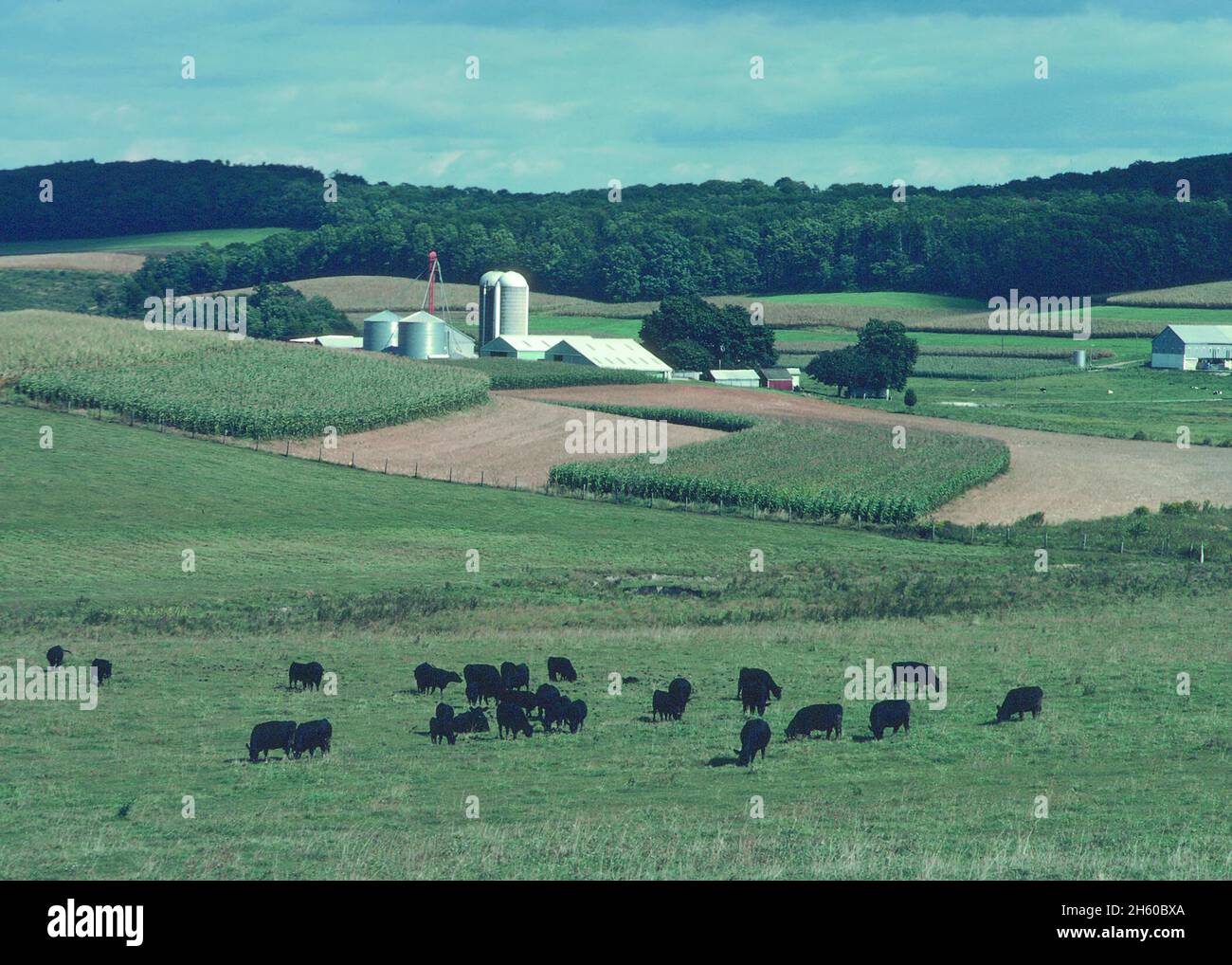 Contour stripcropping helps protect this farm from erosion ca. 2011 or ...