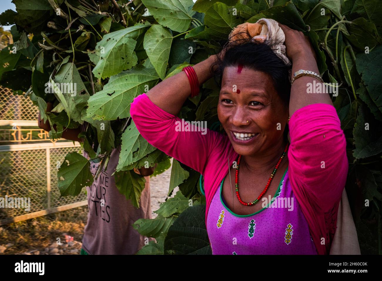 November 2017. Community members are allowed to collect fodder in the ...
