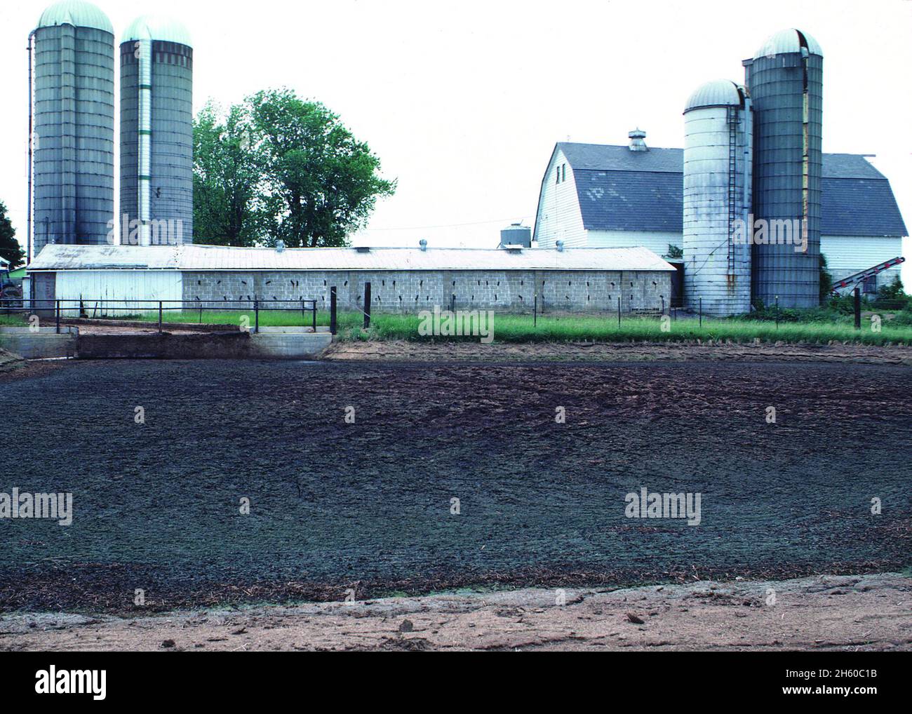 Dairy manure storage structure ca. 2011 or earlier Stock Photo - Alamy