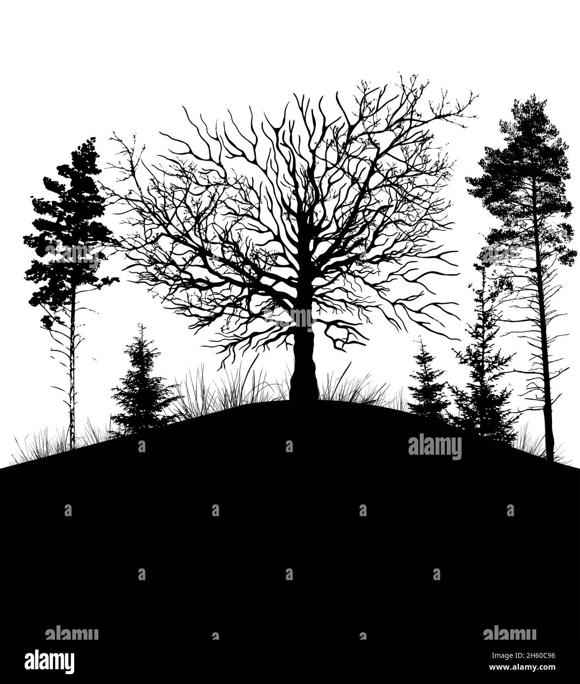 Monochrome silhouettes of trees Vector illustration Stock Vector Image ...
