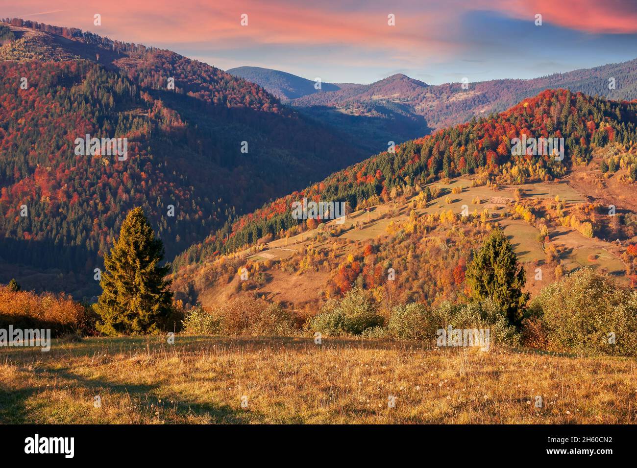autumnal mountain landscape in evening light. beautiful carpathian ...