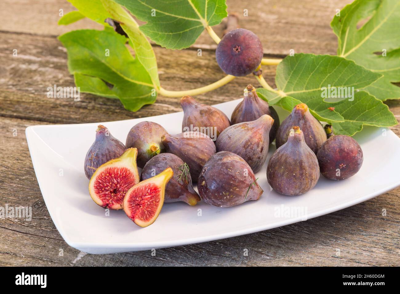 Bio big Figs tree in white background Stock Photo - Alamy
