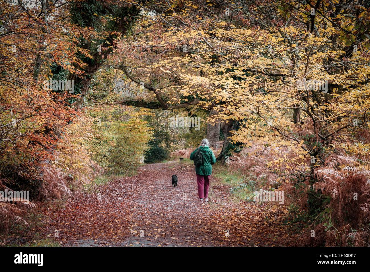 Respryn hi-res stock photography and images - Alamy