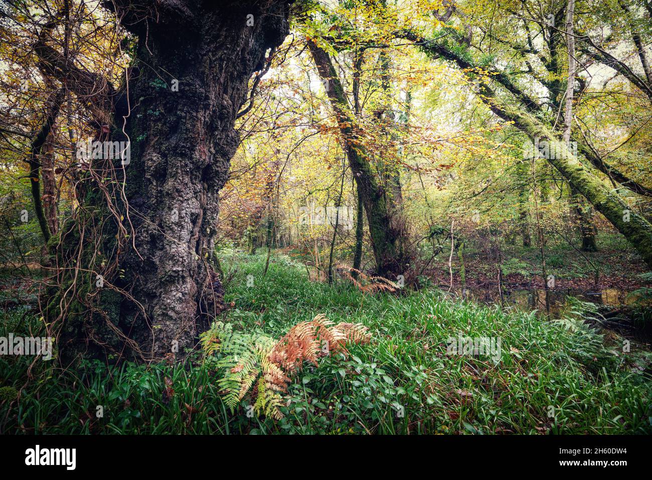 Respryn hi-res stock photography and images - Alamy