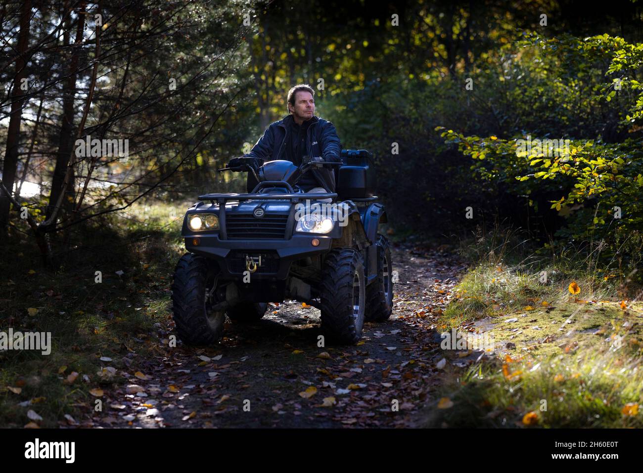 Swedish director Daniel Bergman photographed in Stockholm, Sweden, on ...