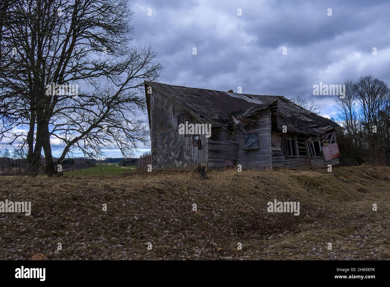 old countryside barn from wooden planks and concrete in rural area in ...