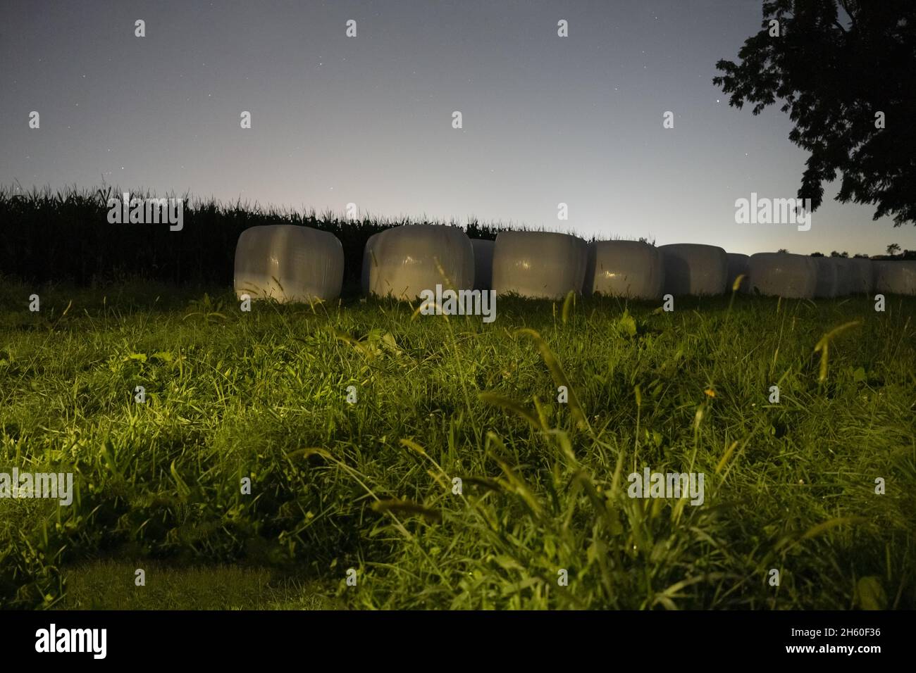 Cornfield at night hi-res stock photography and images - Alamy