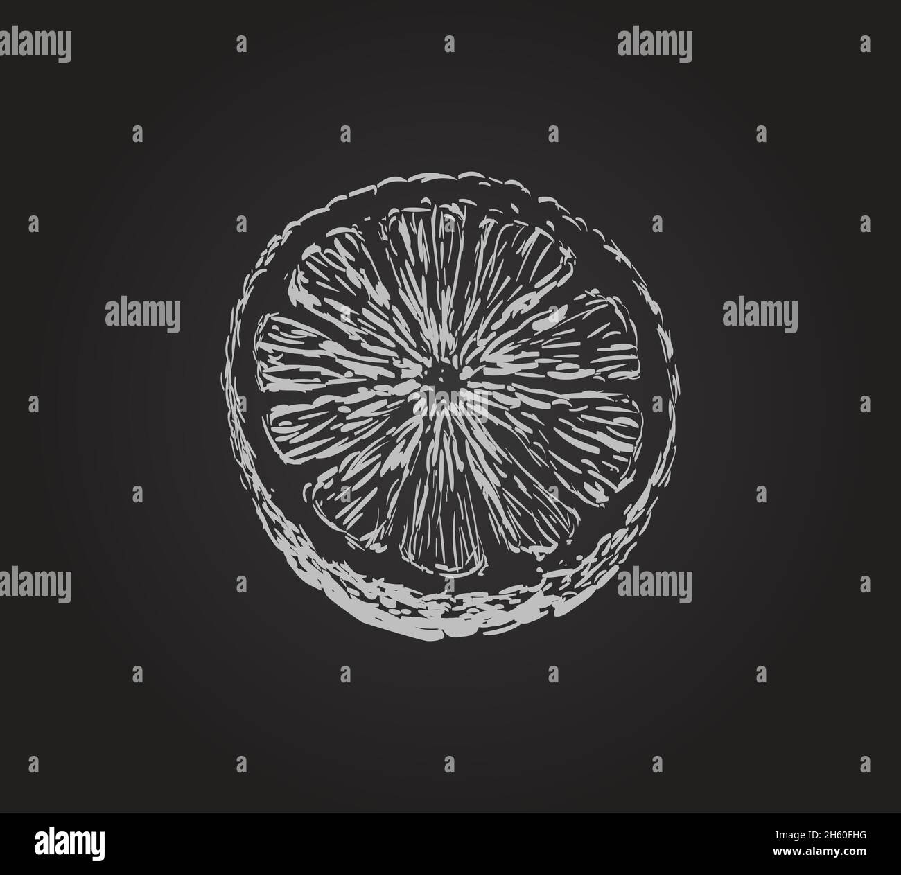 Round Lemon slice, Grapefruit, Orange, Citrus Hand Drawn Sketch Vector ...