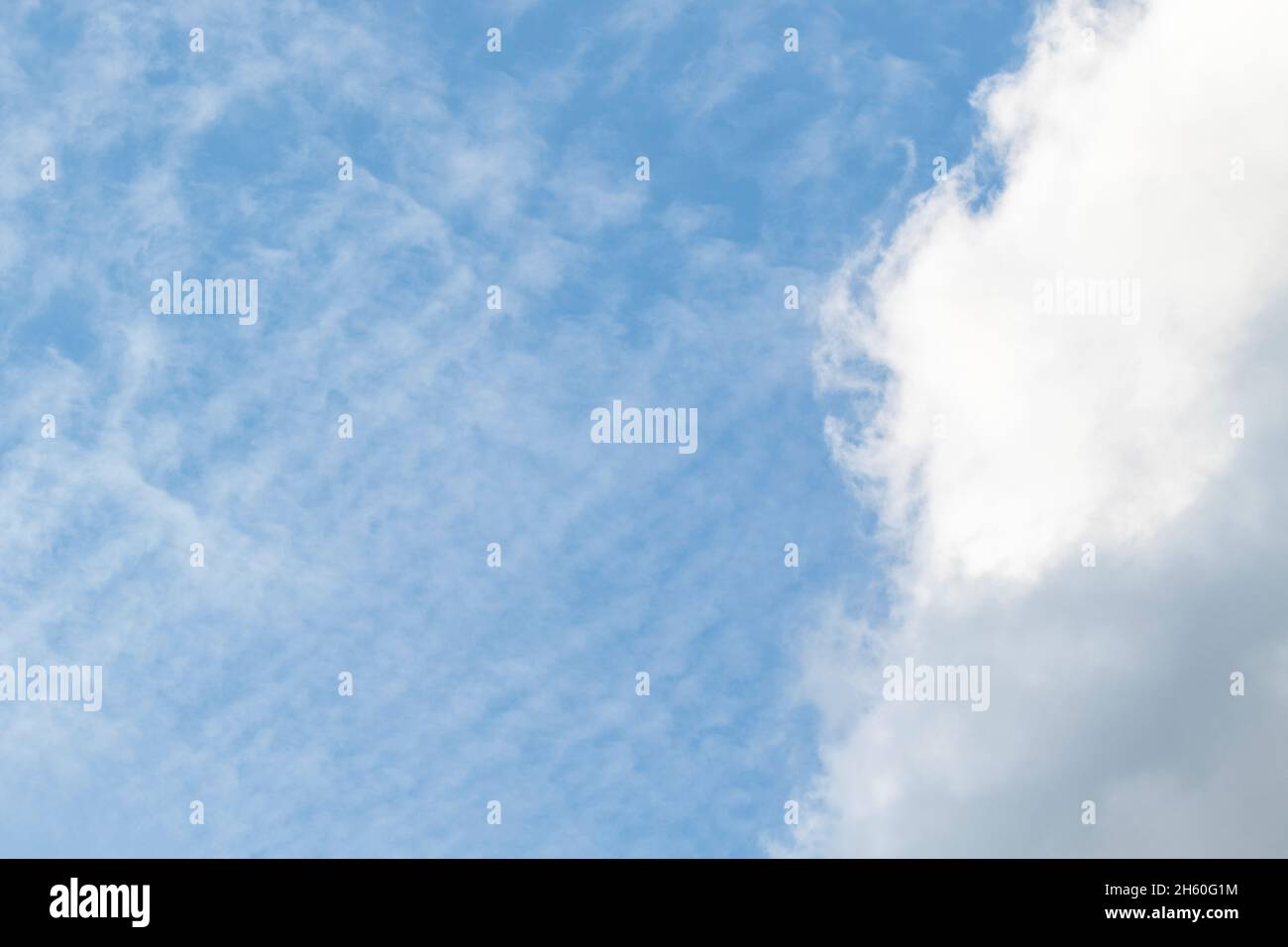 A portrait of a vibrant blue sky with some fibratus clouds and a normal ...
