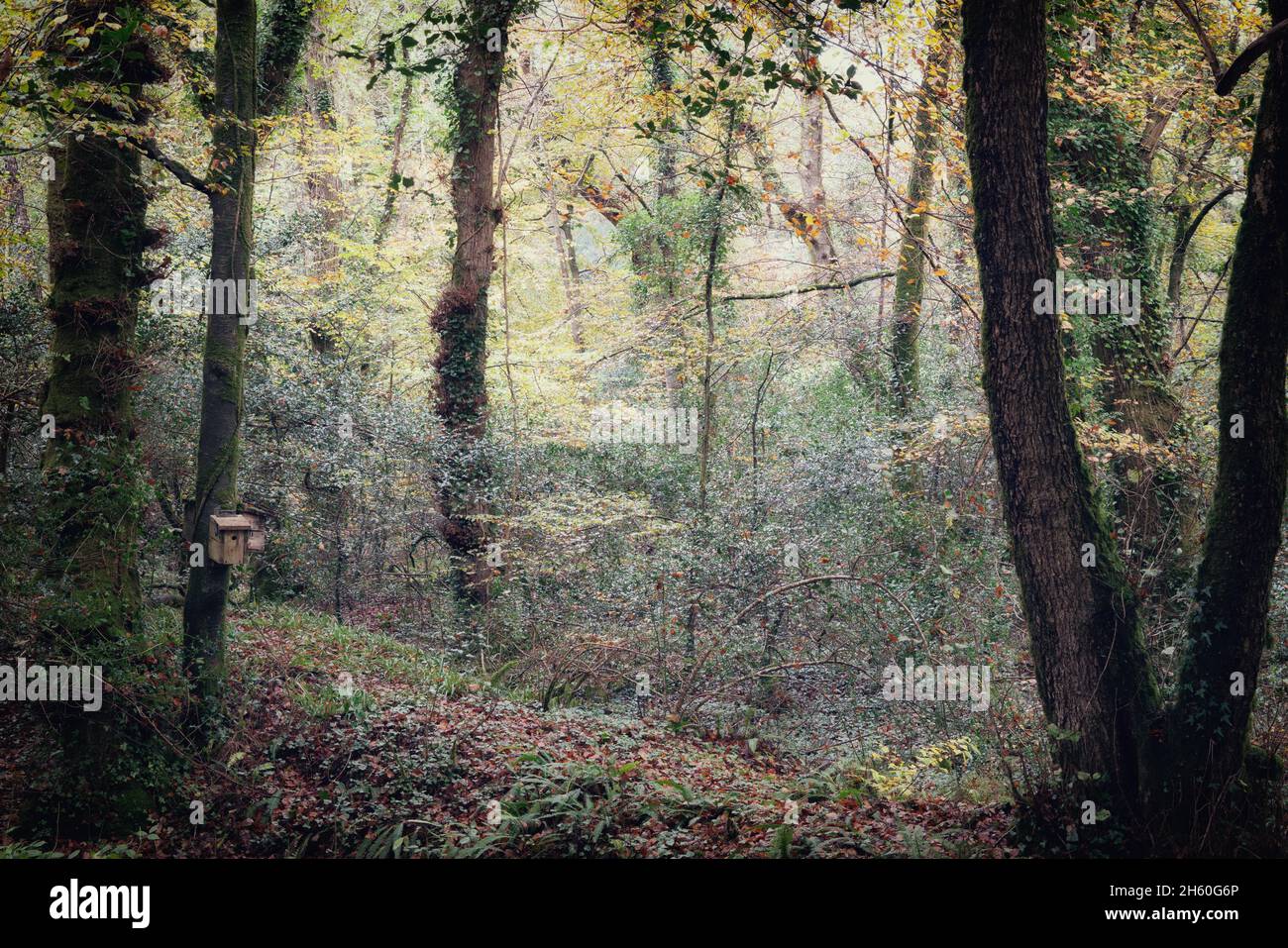 Respryn hi-res stock photography and images - Alamy