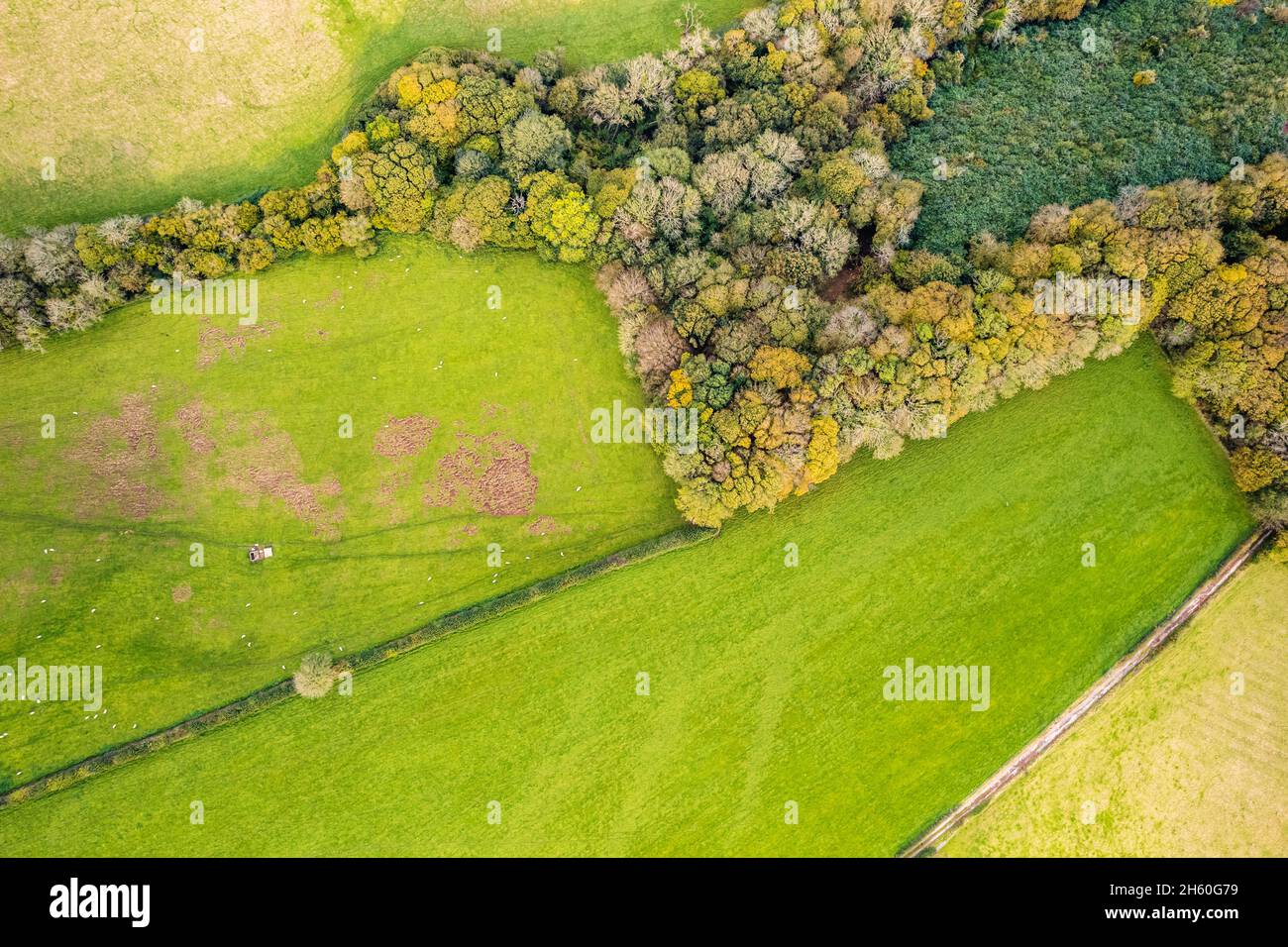 Top Down view of Autumn Colors over Somerset fields from a drone ...