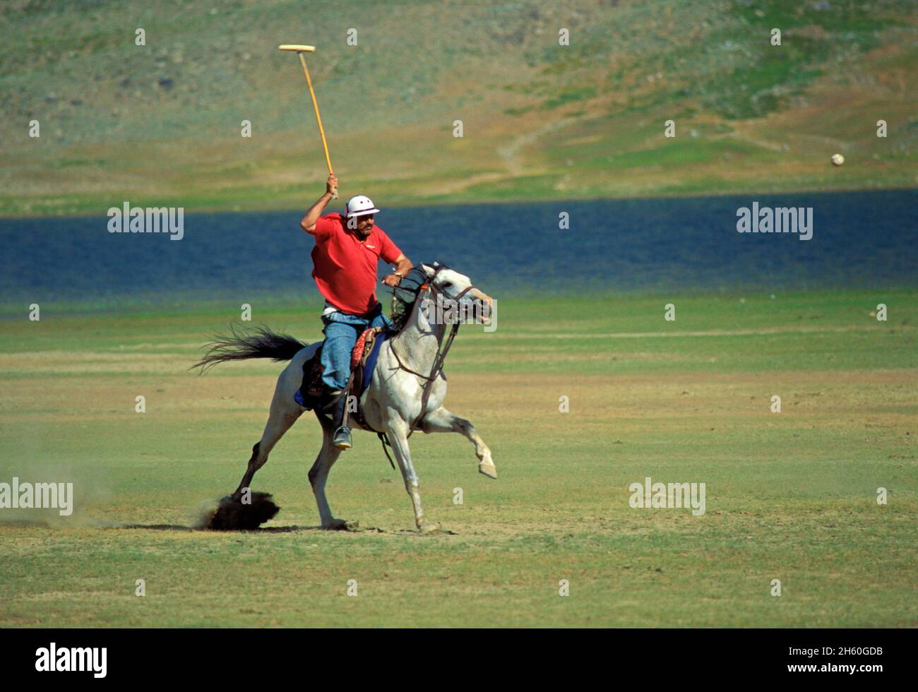 Horse polo gilgit pakistan hi-res stock photography and images - Alamy