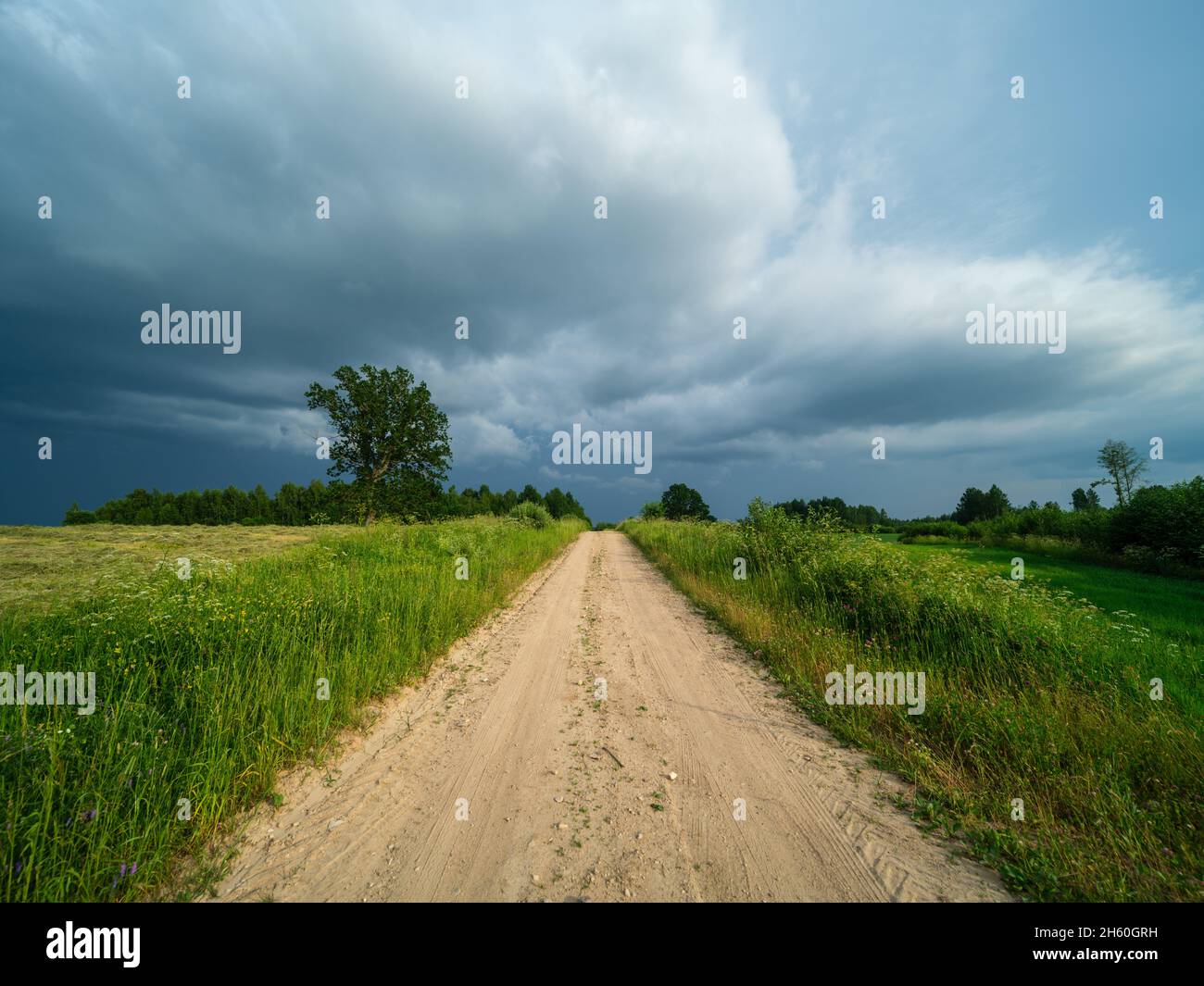 gravel road in countryside summer nature. dry road through forest Stock ...