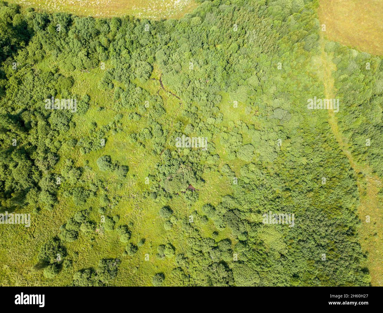 countryside fields and rivers from drone above. abstract texture in ...