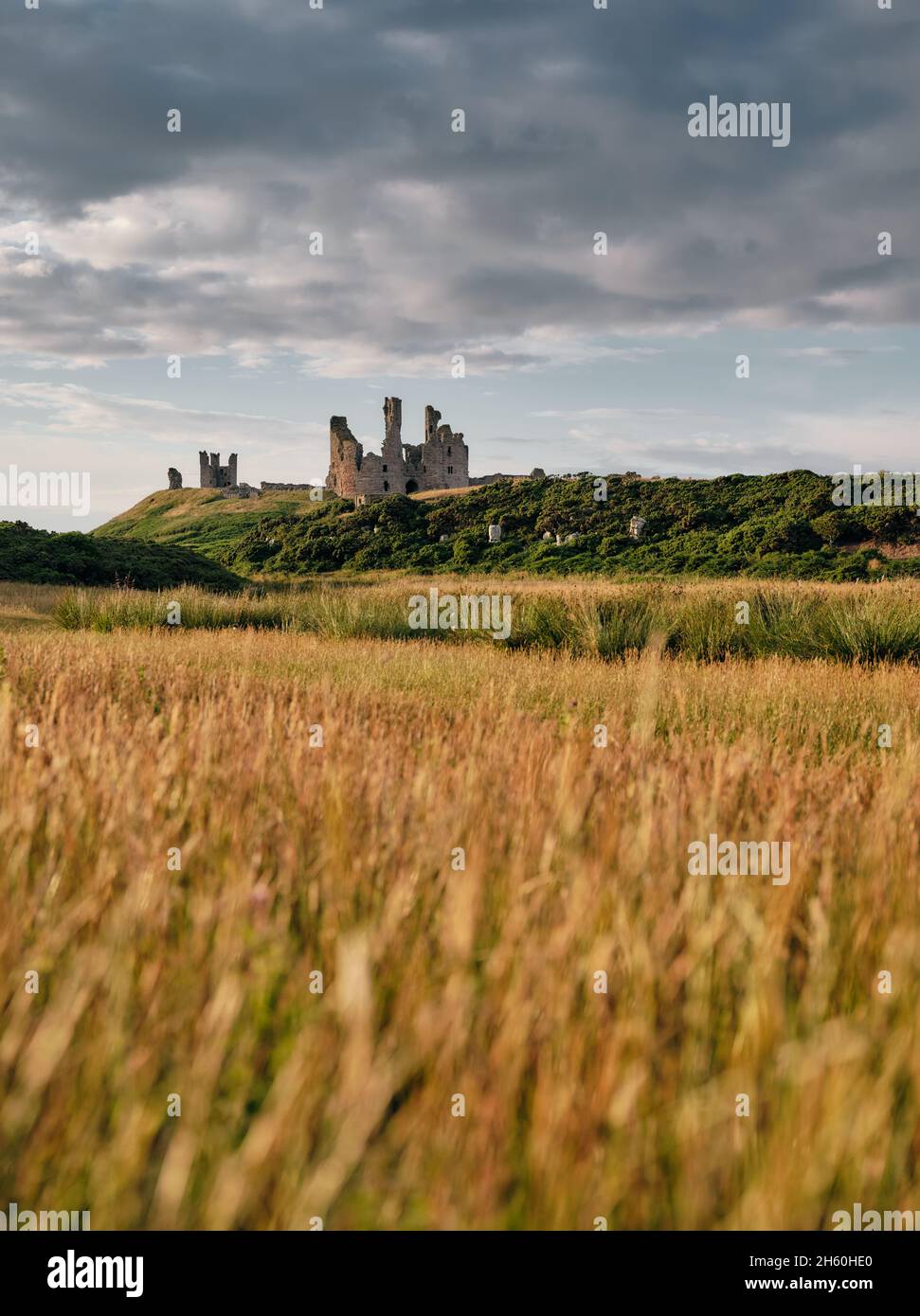 The summer grassland and Dunstanburgh Castle ruins landscape - 14th ...