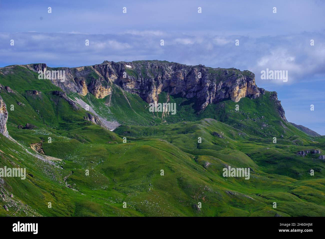 summer green Alps mountains in Austria with snowy peaks near ...
