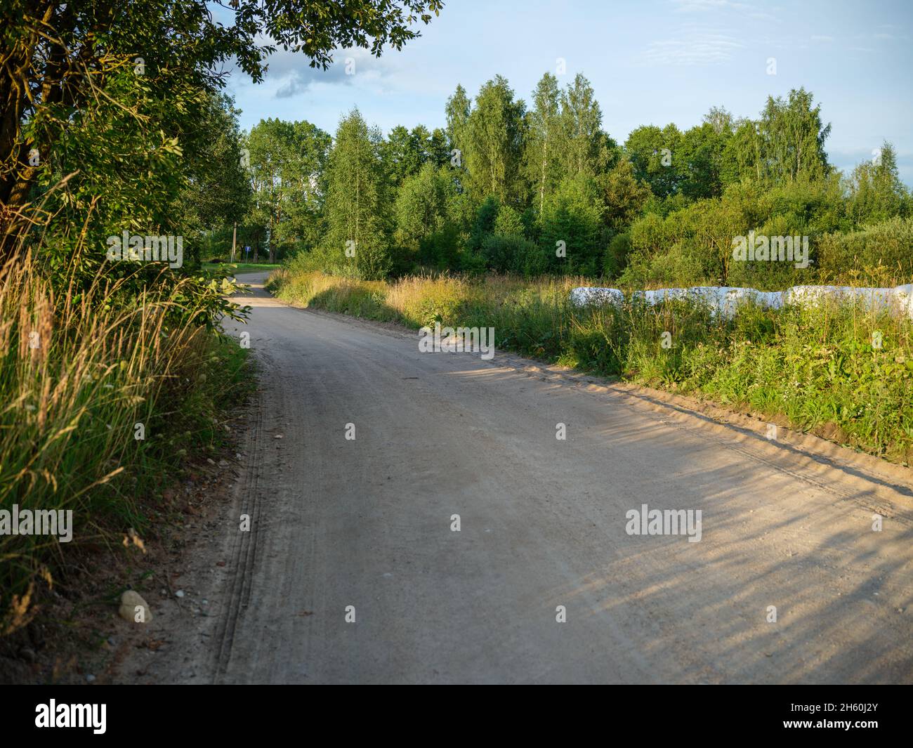gravel road in countryside summer nature. dry road through forest Stock ...