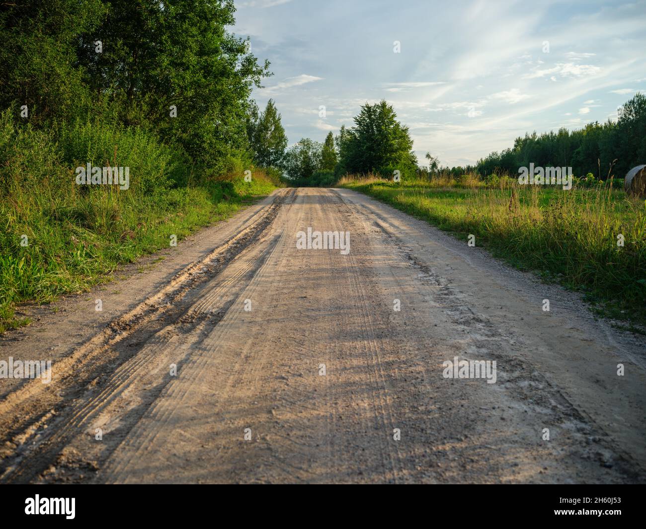 gravel road in countryside summer nature. dry road through forest Stock ...