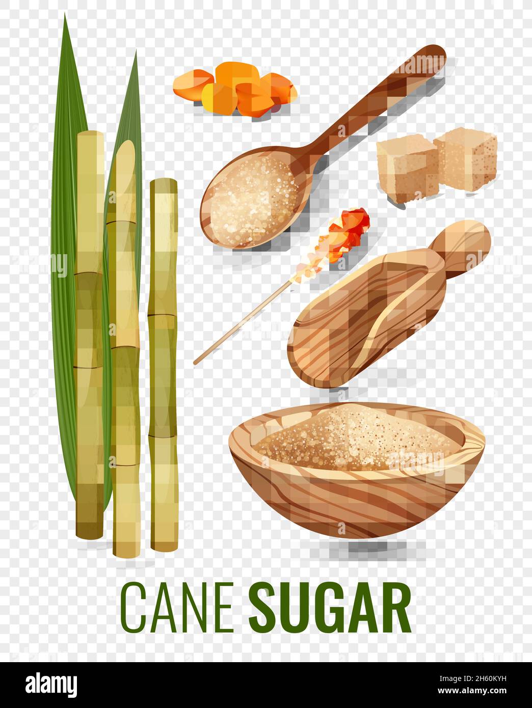 Cane sugar transparent set with spoon and bowl cartoon isolated vector ...