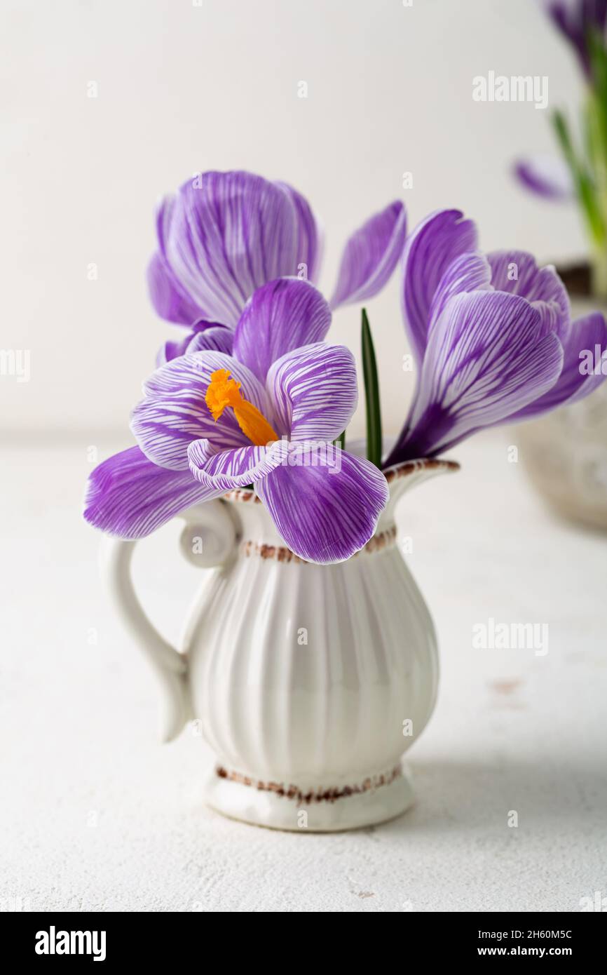 Vase crocus hi-res stock photography and images - Alamy