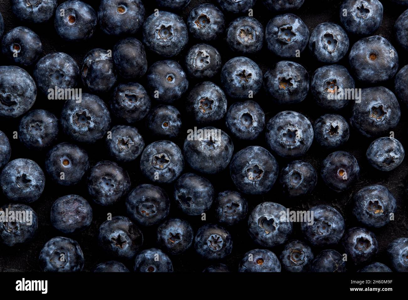 Display of blueberries Stock Photo - Alamy