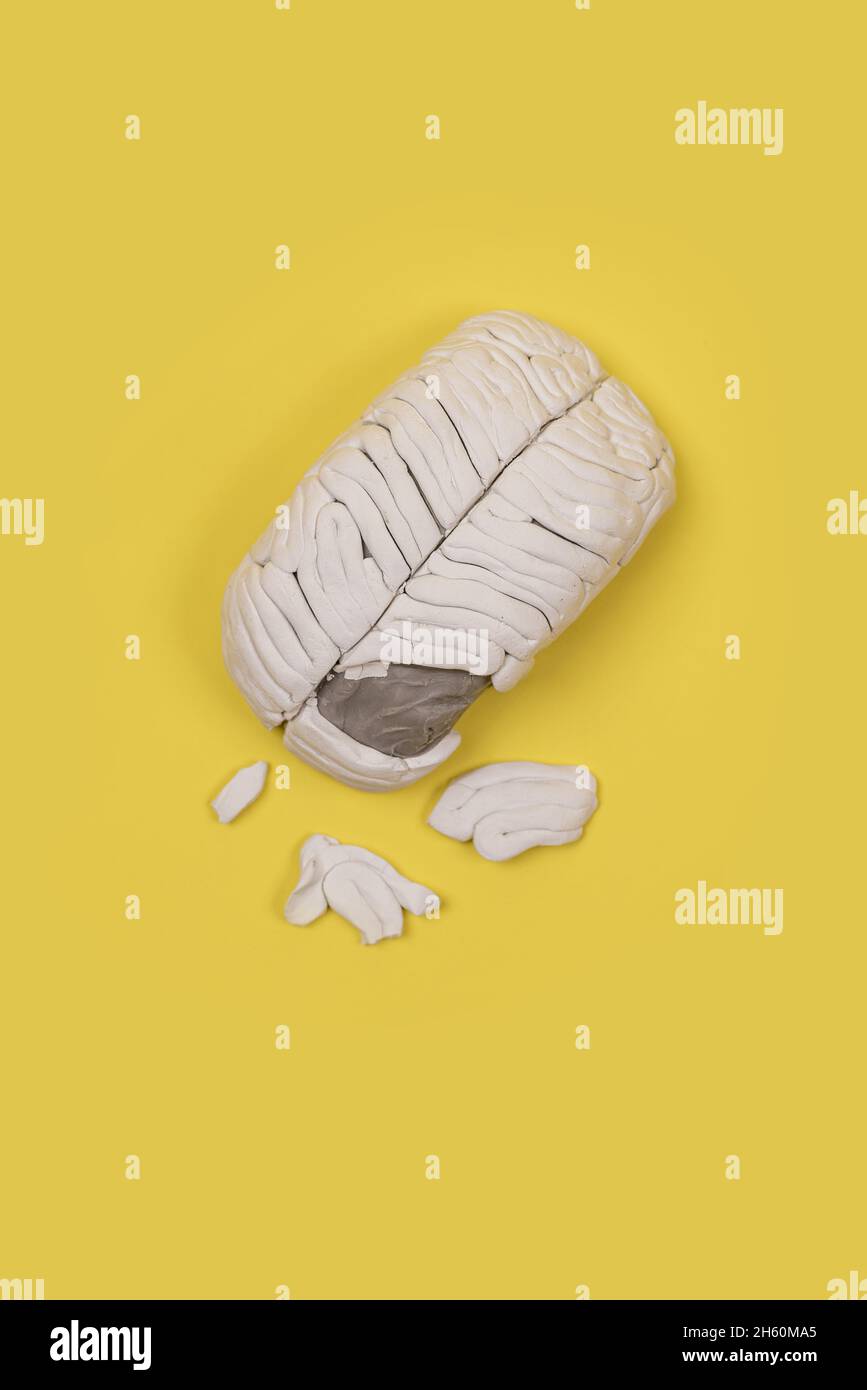 Damaged human brain model on a yellow background Stock Photo - Alamy