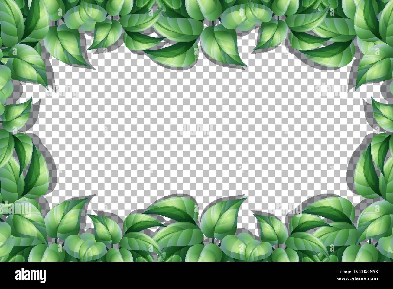 Nature plants frame transparent background illustration Stock Vector ...