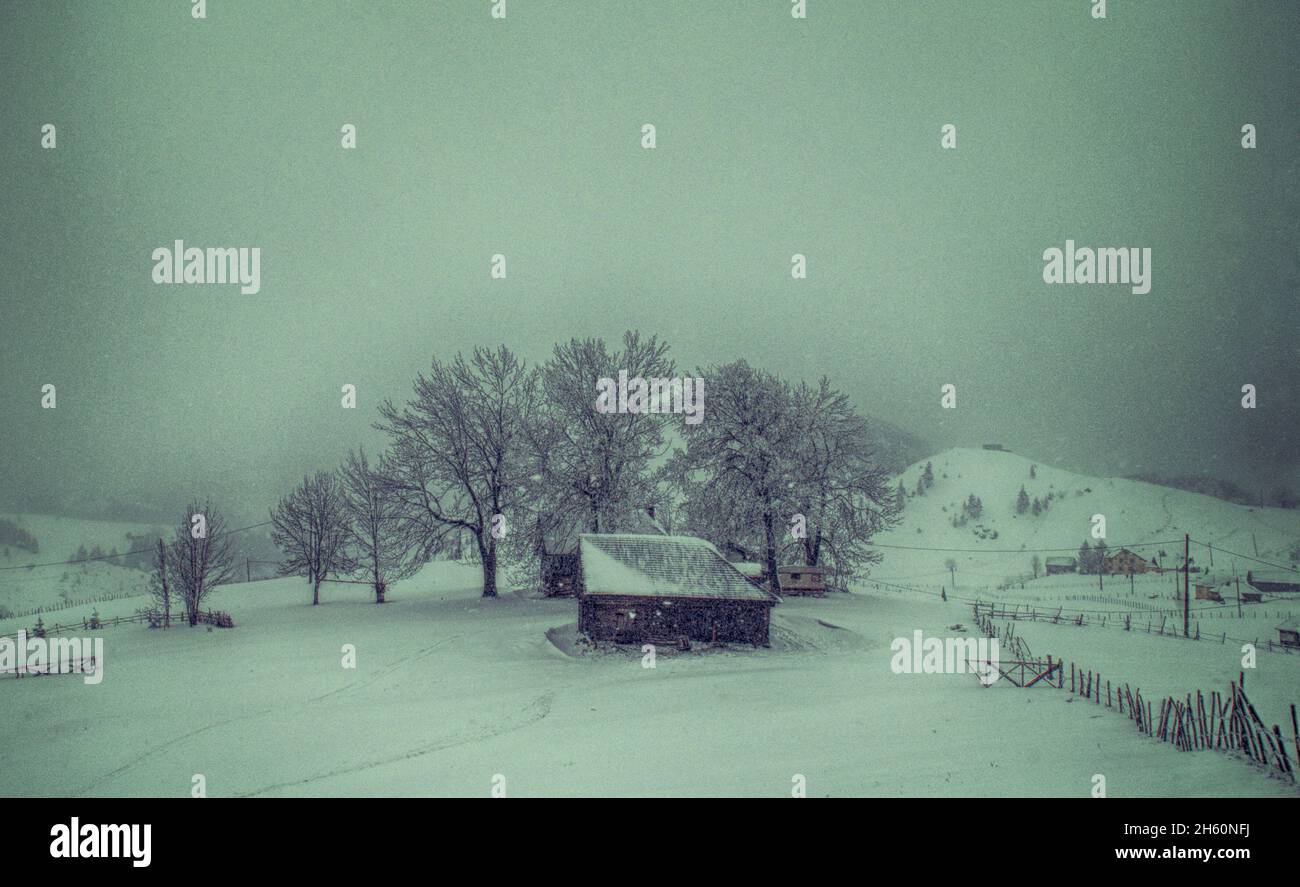 landscape, romania, transilvania, beautiful, outdoor, snow, winter ...