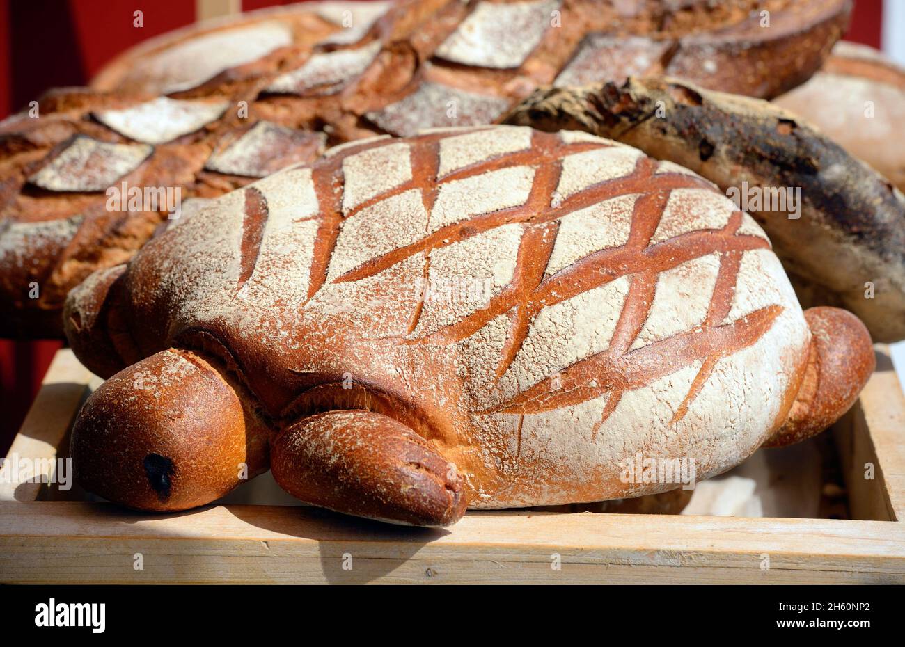 Turtle bread hi-res stock photography and images - Alamy