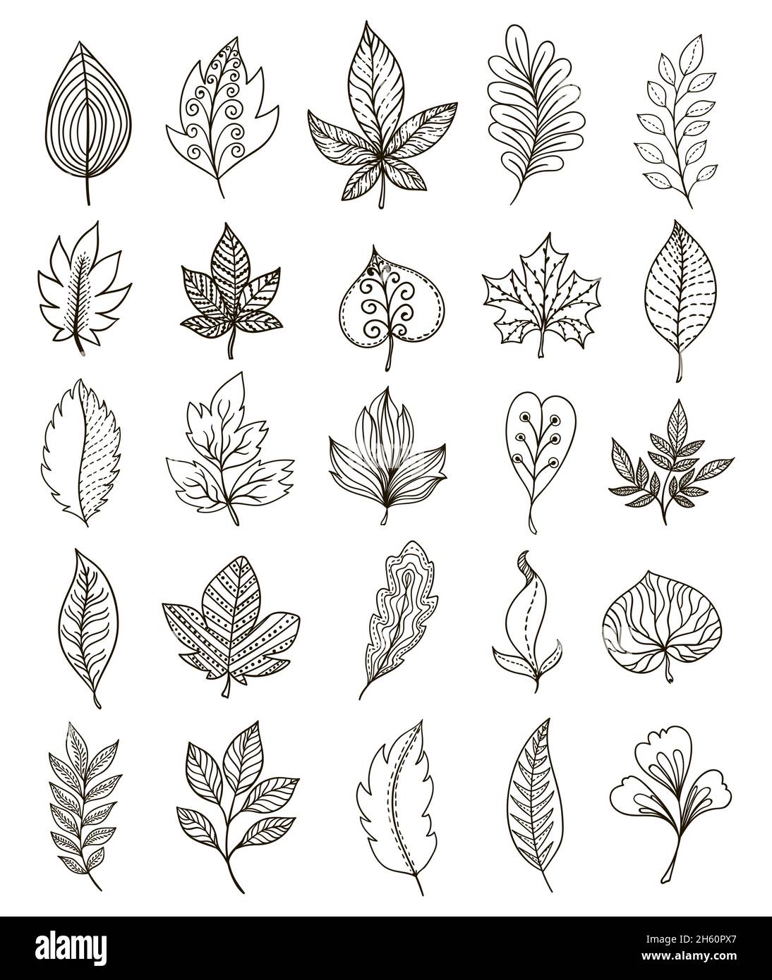 Collection decorative leaves monochrome Cut Out Stock Images & Pictures ...
