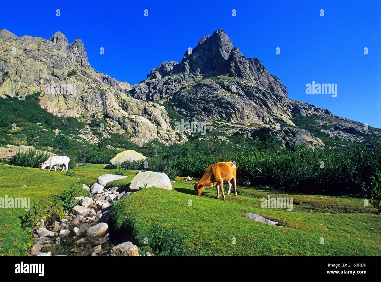 Gr 20 footpath hi-res stock photography and images - Alamy