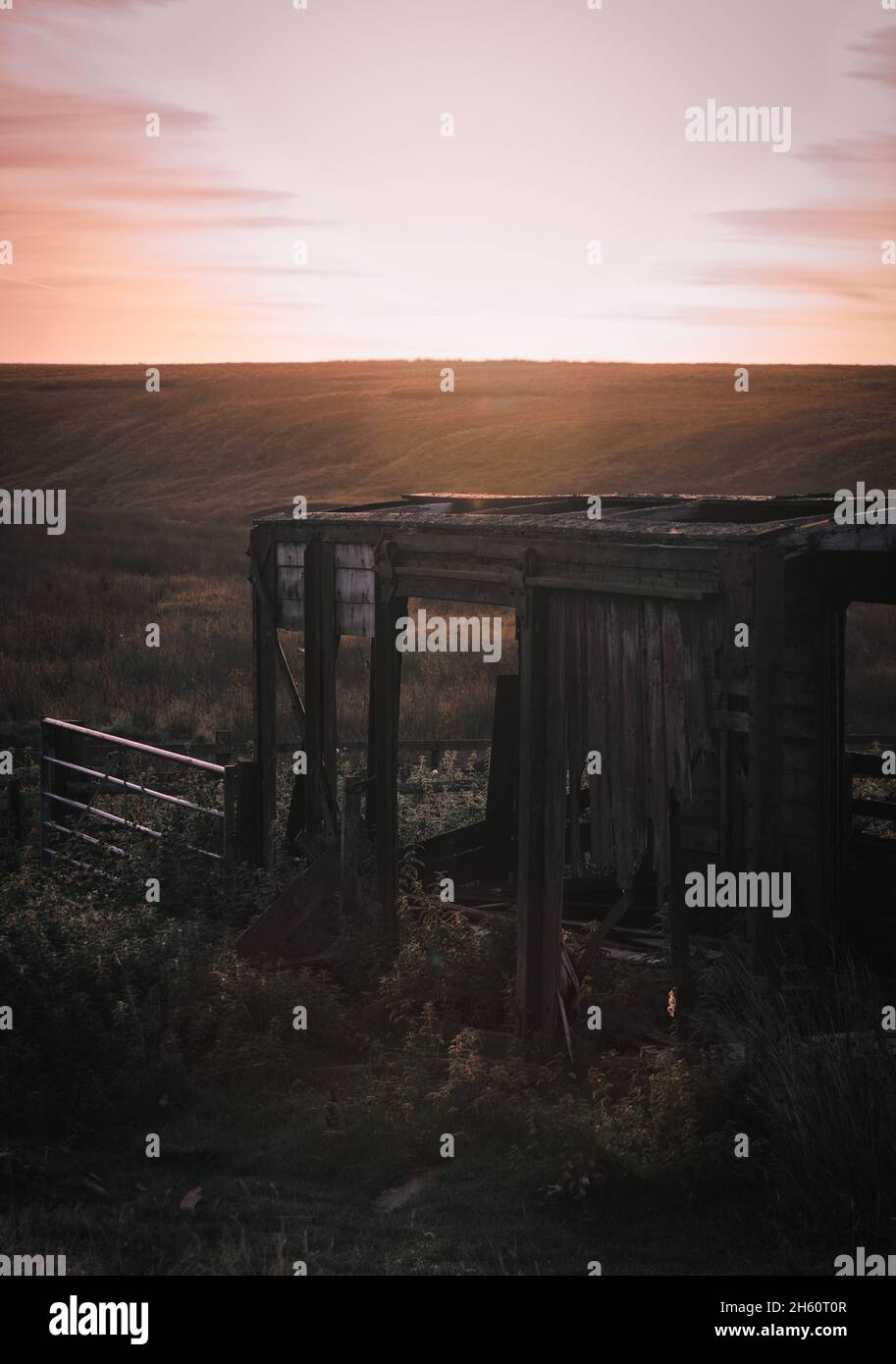 Rustic collapsing agricultural building on isolated moorland at dawn ...
