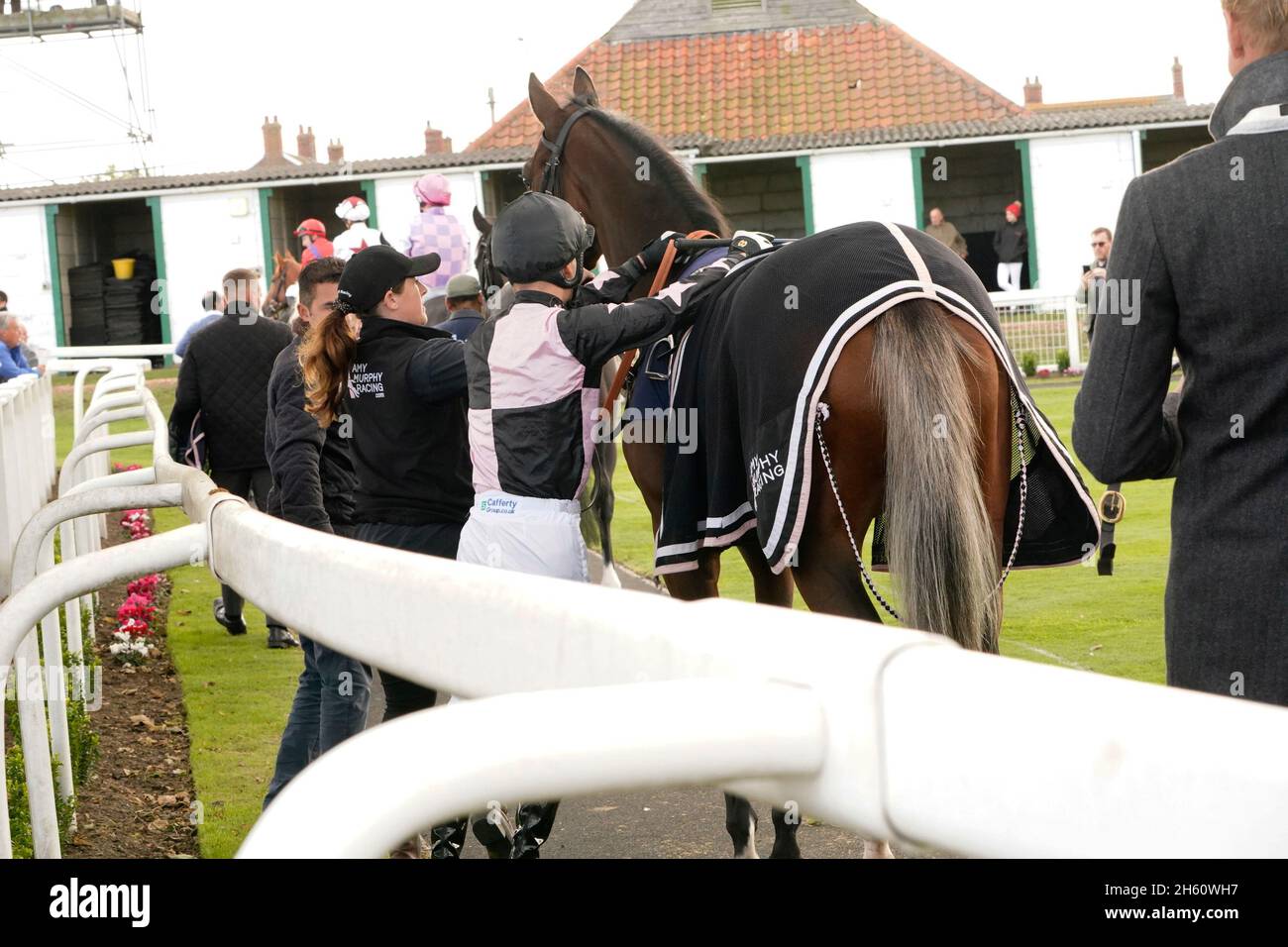 Taste of the atmosphere and thrill of a day at the races with the crowd ...