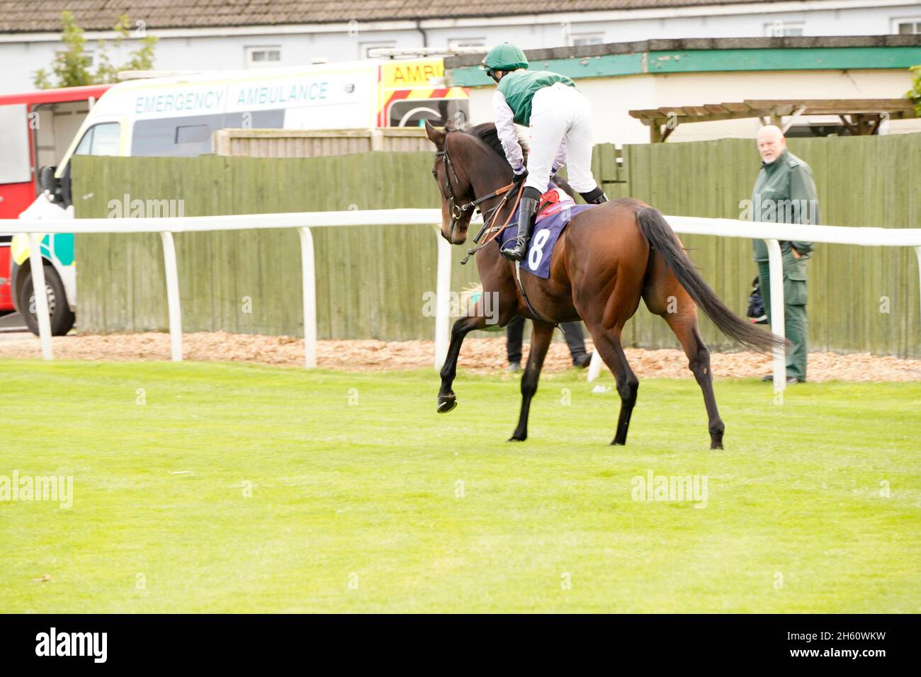 Taste of the atmosphere and thrill of a day at the races with the crowd ...