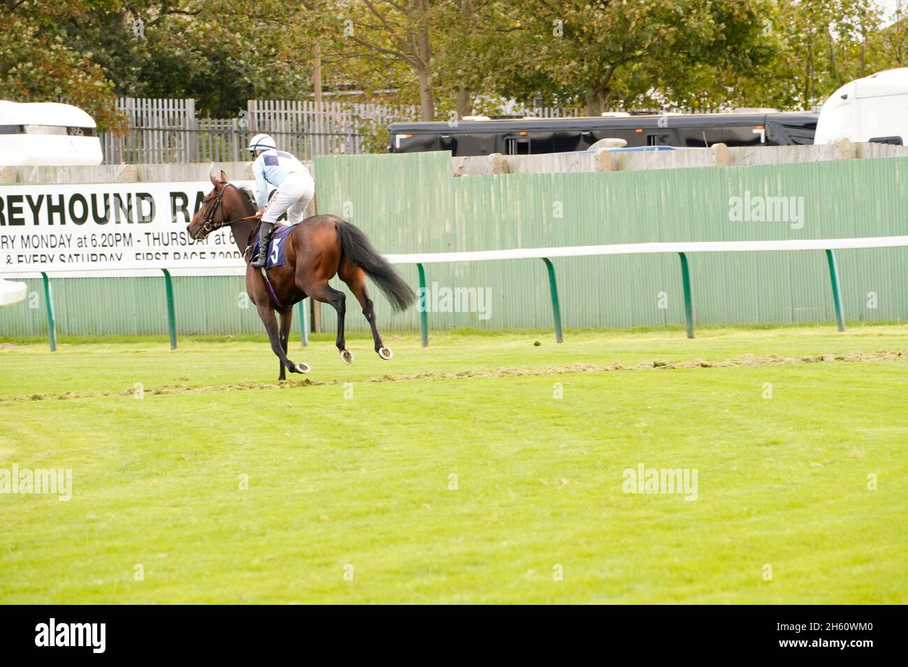 Taste of the atmosphere and thrill of a day at the races with the crowd ...