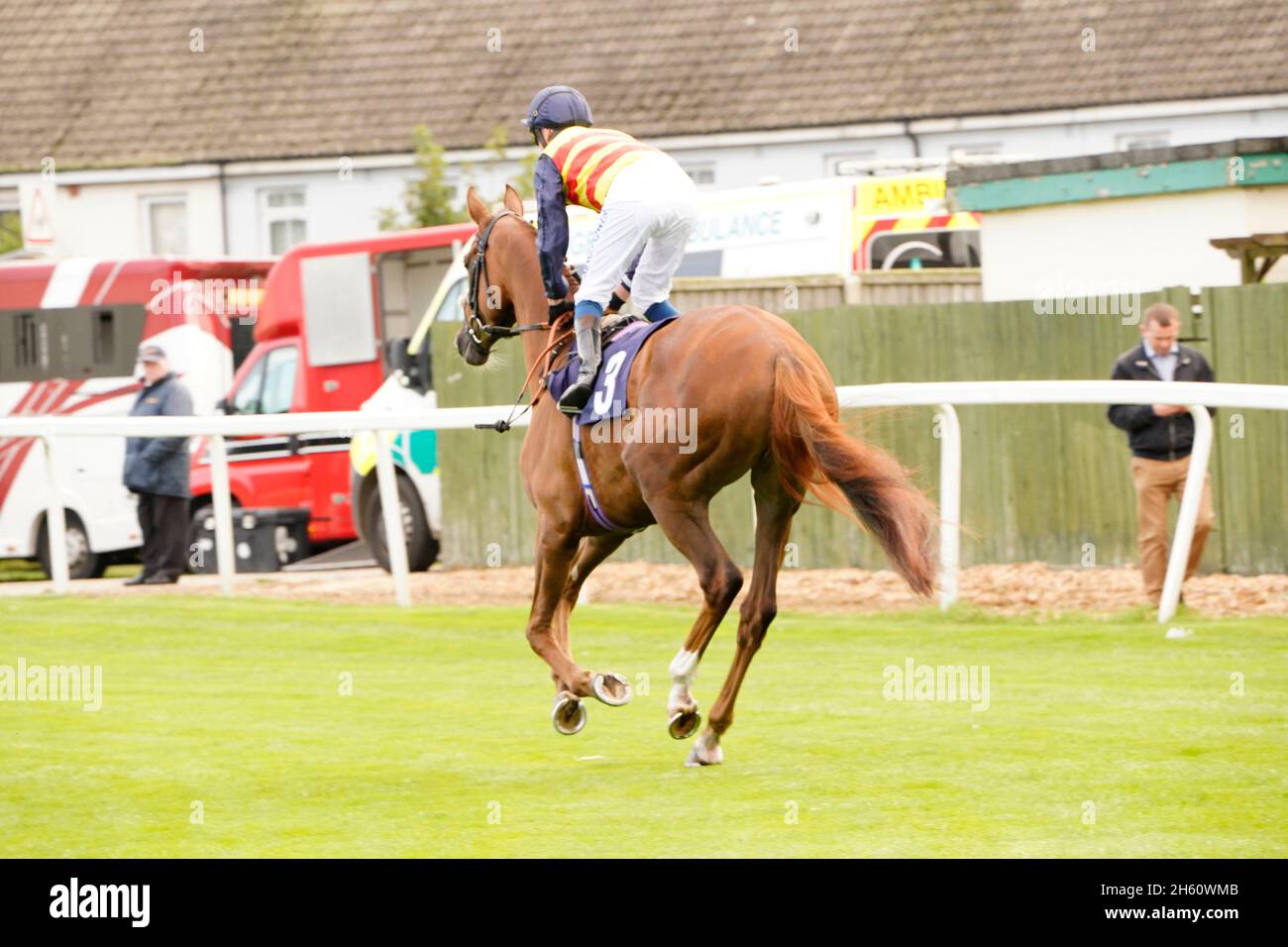 Taste of the atmosphere and thrill of a day at the races with the crowd ...