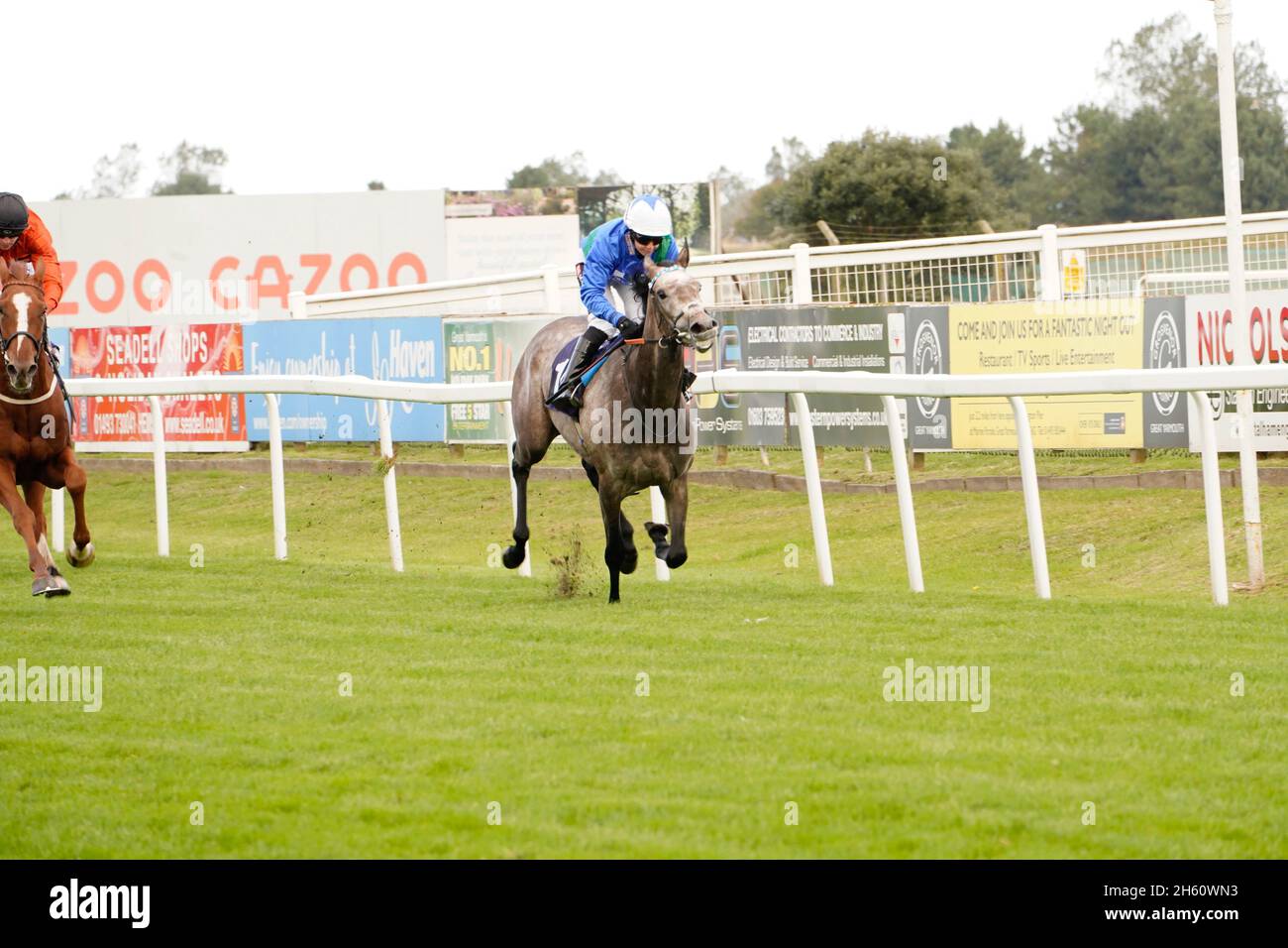 Taste of the atmosphere and thrill of a day at the races with the crowd ...