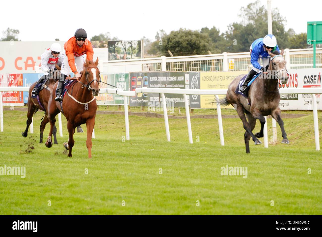 Taste of the atmosphere and thrill of a day at the races with the crowd ...