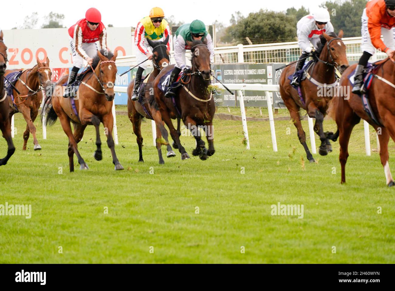 Taste of the atmosphere and thrill of a day at the races with the crowd ...