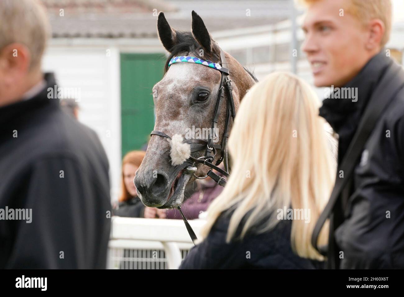 Taste of the atmosphere and thrill of a day at the races with the crowd ...