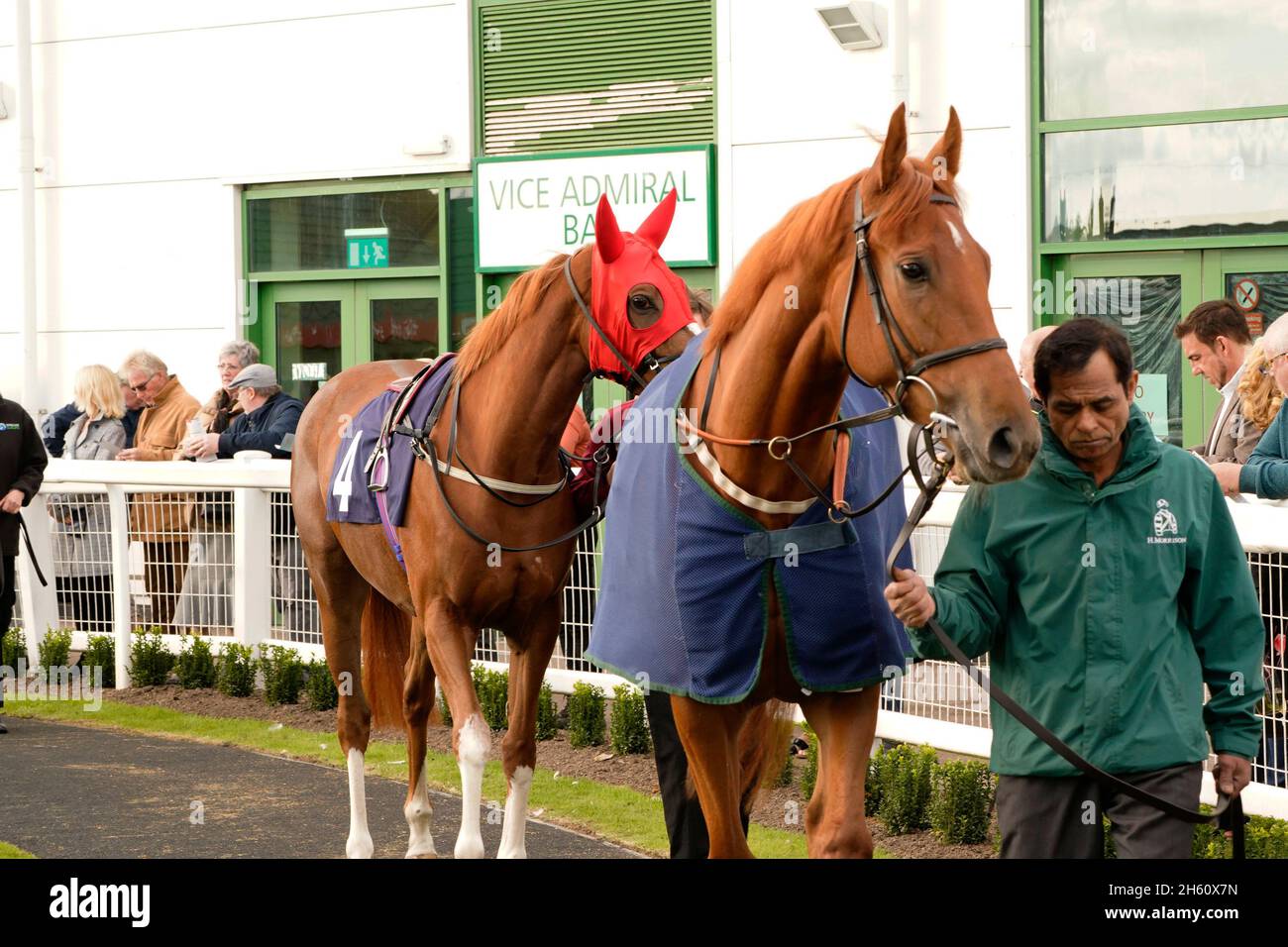 Taste of the atmosphere and thrill of a day at the races with the crowd ...