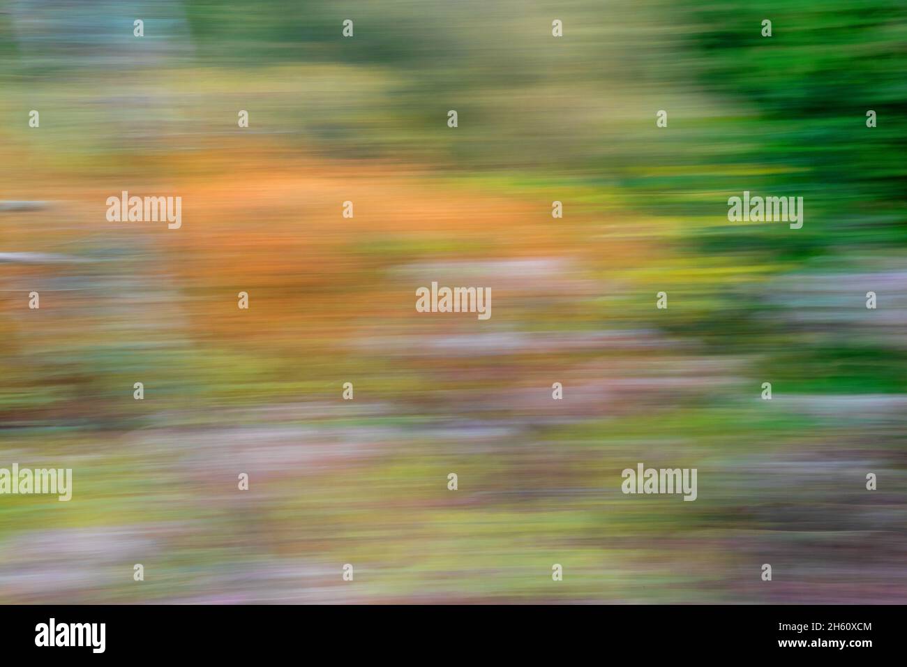 Intentional Camera Movement Stock Photo - Alamy