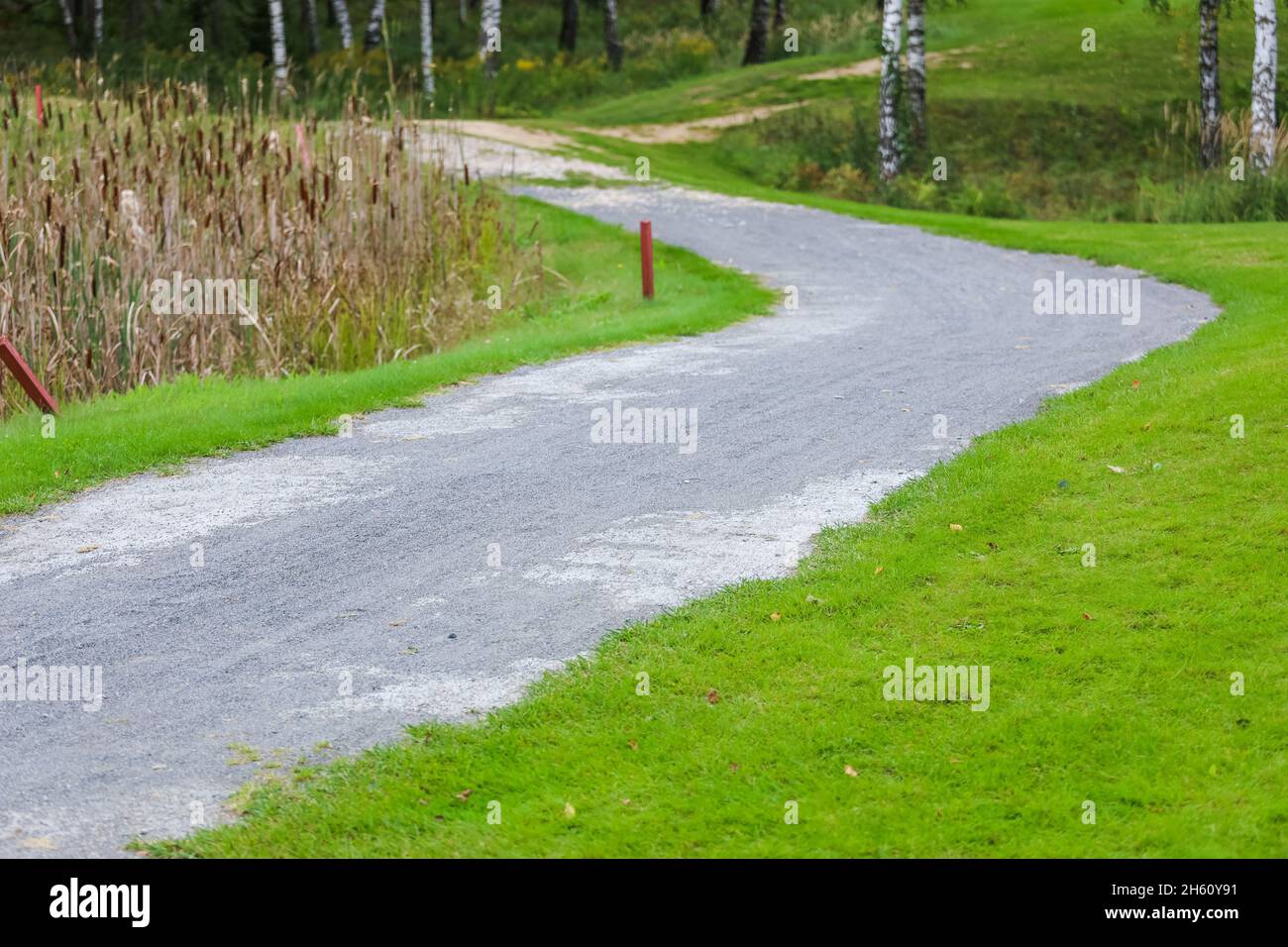 Golf course, landscape, green grass on the background of the forest and ...