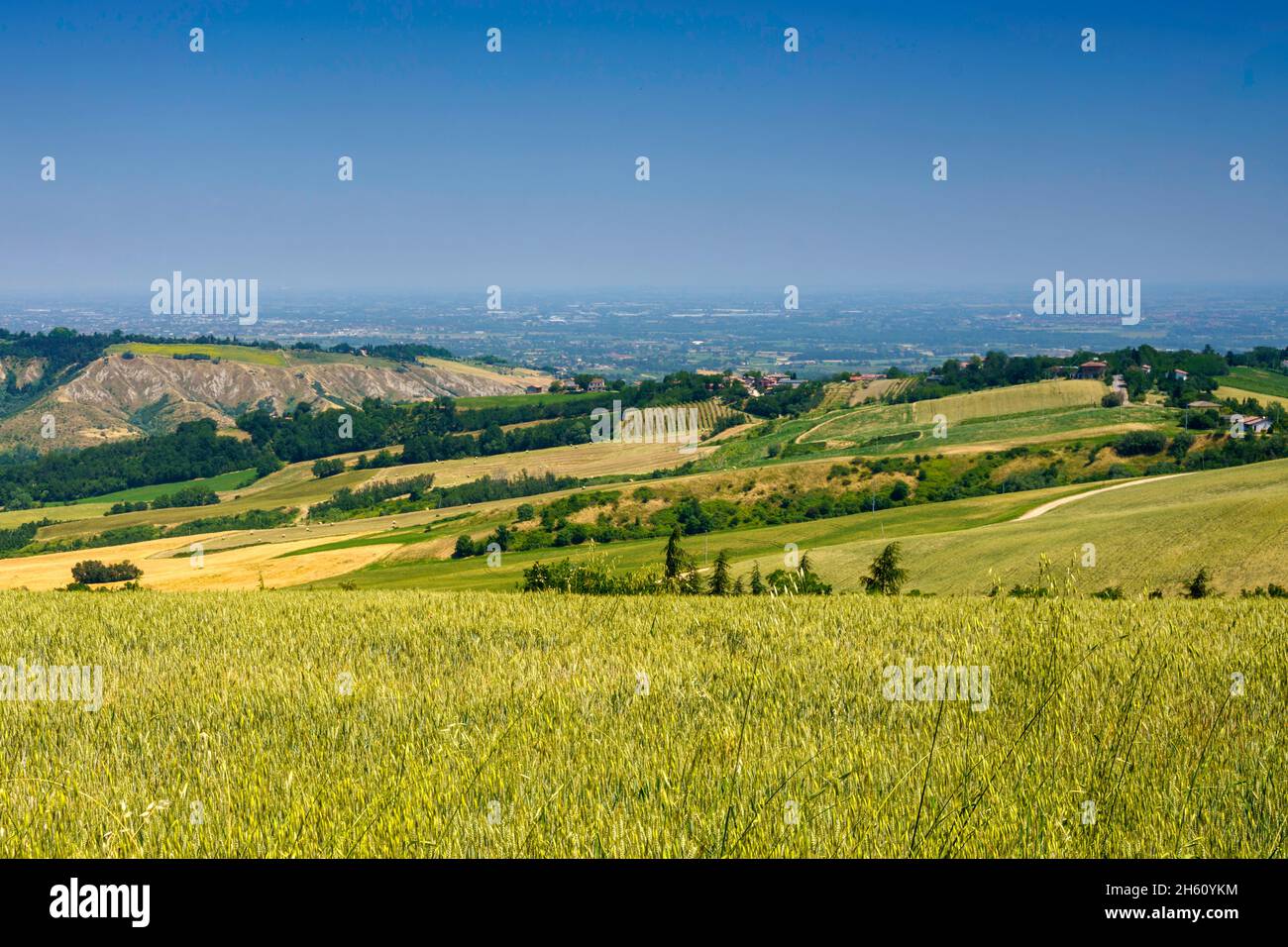 Meldola italy hi-res stock photography and images - Alamy
