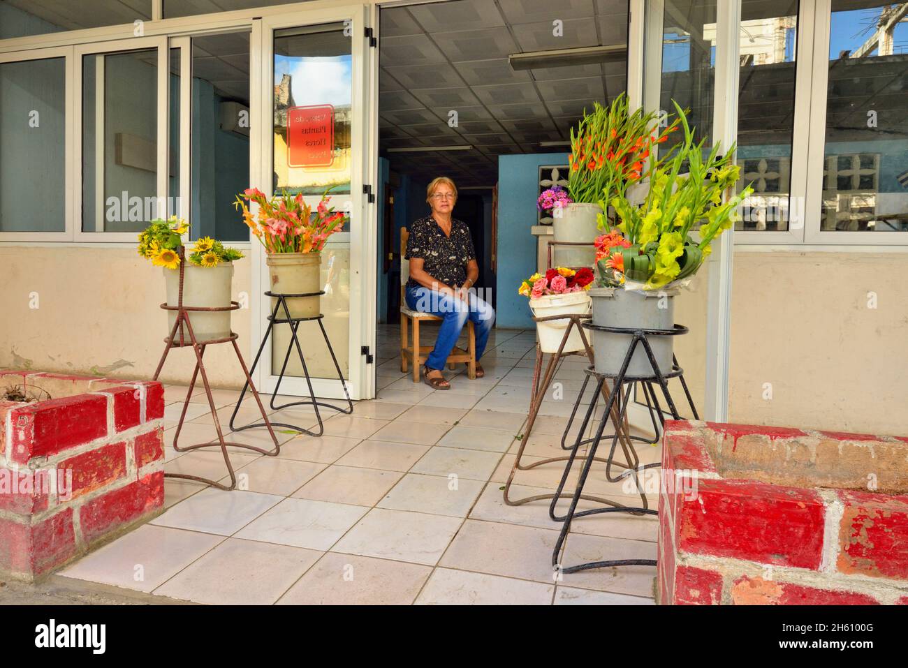 Street scene in central Havana. a shopkeeper poses with her wares on ...
