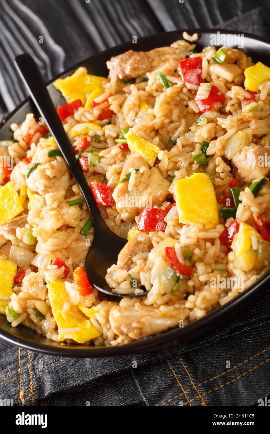 Peruvian Fried Rice with meat and eggs Arroz Chaufa close up in the ...