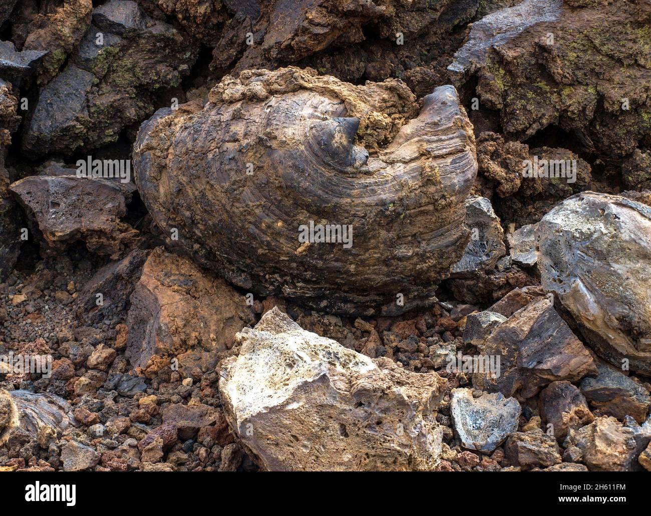 Large chunks of lava from the volcano's last eruption lie in the ash ...