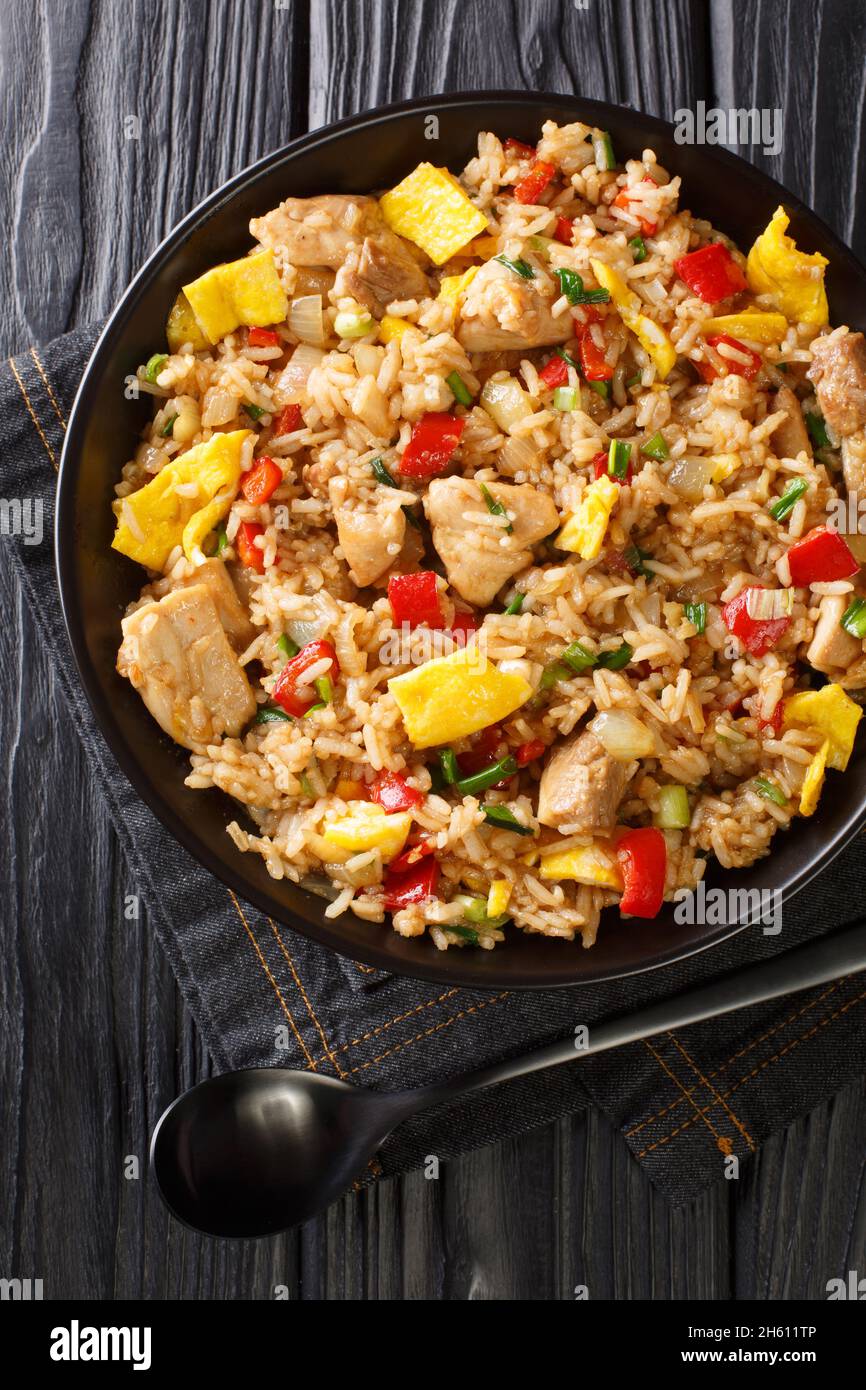Peruvian Fried Rice with meat and eggs Arroz Chaufa close up in the ...